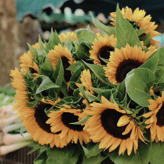 Learn – The Hillside Market