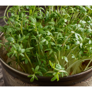 Learn – Page – The Hillside Market