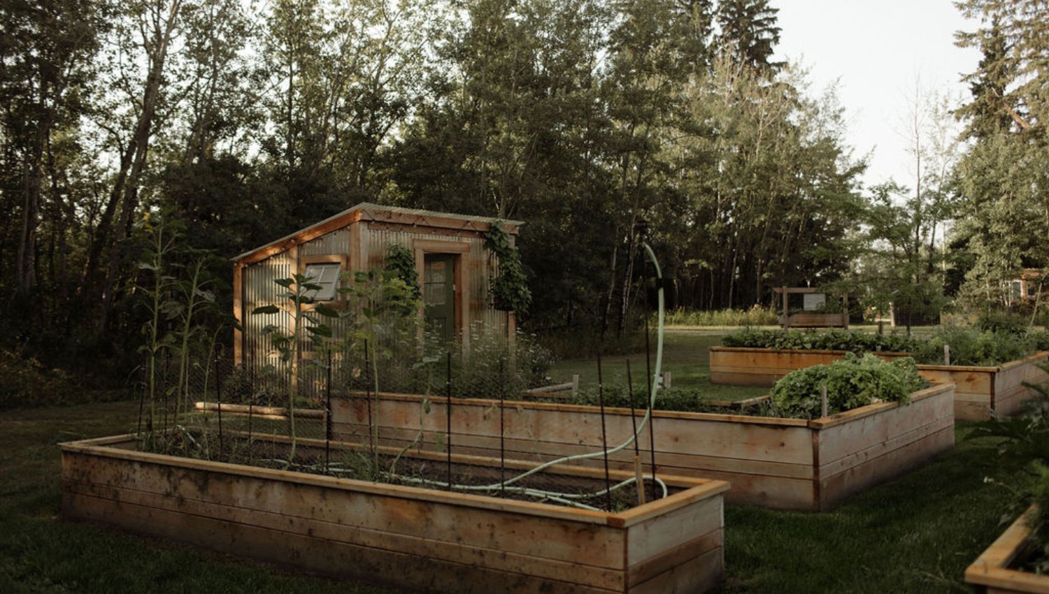 Do-It-Yourself Outdoor Projects – The Hillside Market