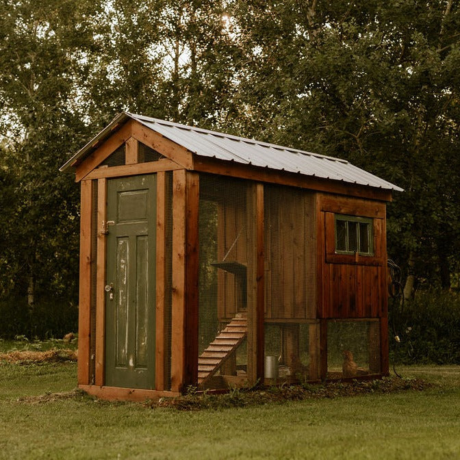 Marigold | DIY Chicken Coop | Hillside Market – The Hillside Market
