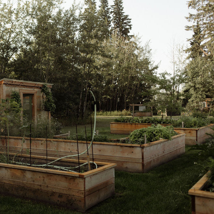 Iris | DIY Timber Style Greenhouse | Hillside Market – The Hillside Market