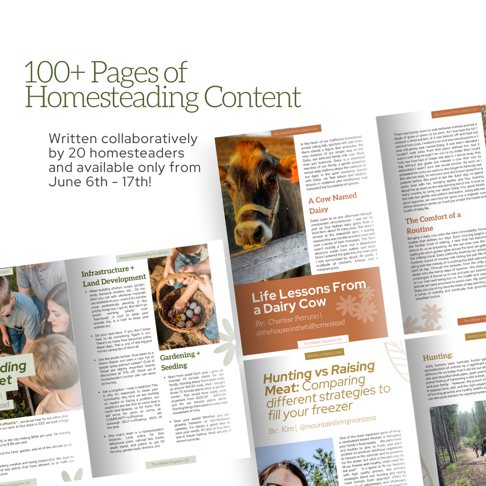 Hillside Market | Home To The Best DIY Guides for Outdoor Projects ...