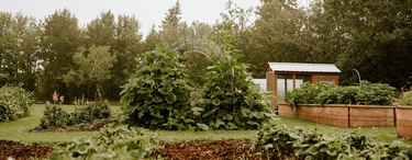 Gardening, Homesteading, and Outdoor Lifestyle – The Hillside Market