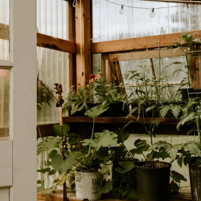 Discover sustainable living | Hillsider Magazine – The Hillside Market